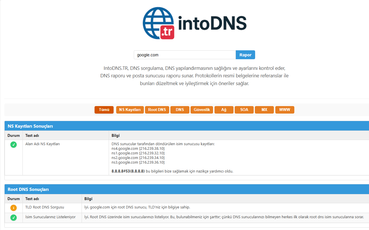 intoDNS: DNS Sorgulama, DNS Raporu Mail Sunucusu ve Alan Adı Analizi
